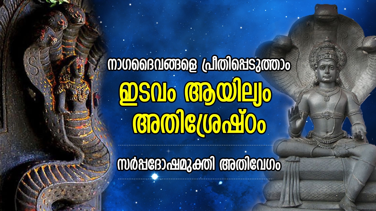 നാഗാരാധനയ്ക്ക് പൂര്‍ണ്ണഫലം, സര്‍പ്പദോഷം നിശ്ശേഷം നീങ്ങും; ഇടവം ആയില്യം ...