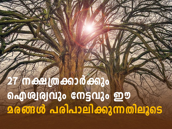 Divine Trees Associated With 27 Nakshatras : 27 നക്ഷത്രക്കാര്‍ക്കും ...