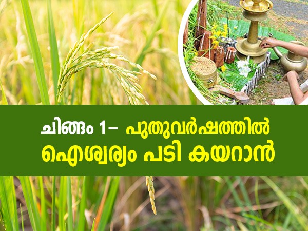 Malayalam New Year Chingam 1: ചിങ്ങം 1- വര്‍ഷം മുഴുവന്‍ ഐശ്വര്യം ഫലം ...
