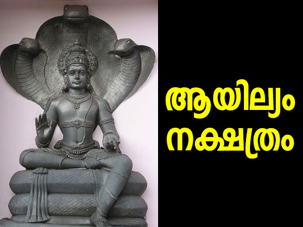 ആയില്യം നക്ഷത്രവും പാമ്പുകളും തമ്മില്‍ എന്താണ് ബന്ധം | Why is Ayilyam ...