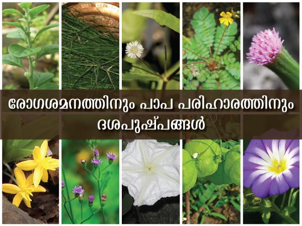 കര്‍ക്കിടക മാസം ദശപുഷ്പം വീട്ടില്‍ ഐശ്വര്യം നിറക്കും | Spiritual ...