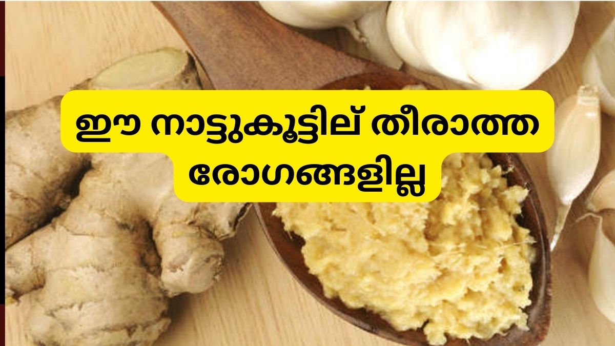 ഇഞ്ചി വെളുത്തുള്ളി മിക്‌സ് ഇപ്രകാരം കഴിക്കണം: അമൃതിന്‍ ഫലമാണ് | Ginger ...