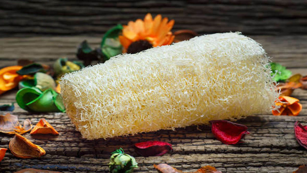 ചര്‍മ്മം വൃത്തിയാക്കാന്‍ മാത്രമല്ല പീച്ചിങ്ങ, മറ്റ് ചില ഗുണങ്ങള് ...