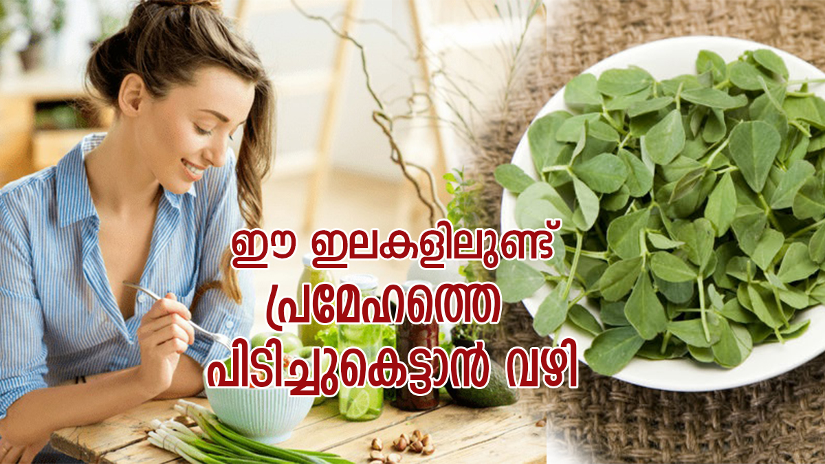 രക്തത്തിലെ പഞ്ചസാര കുറയ്ക്കാം, പ്രമേഹത്തെ നിയന്ത്രിക്കാം; ഈ ഇല ...