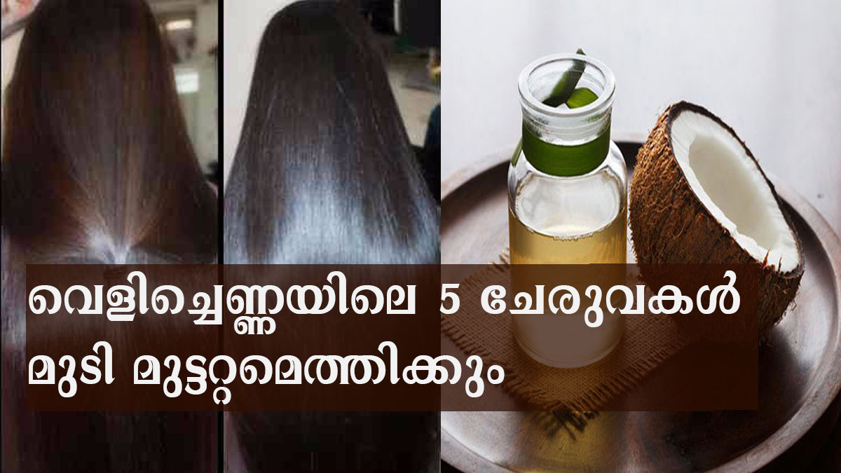 ആഴ്ചയില്‍ ഏഴ് ദിവസവും 5 മിക്‌സ് എണ്ണ തേക്കൂ: കറുകറുത്ത മുടി നിതംബം മറയ്ക്കും | Hair Care Tips ...