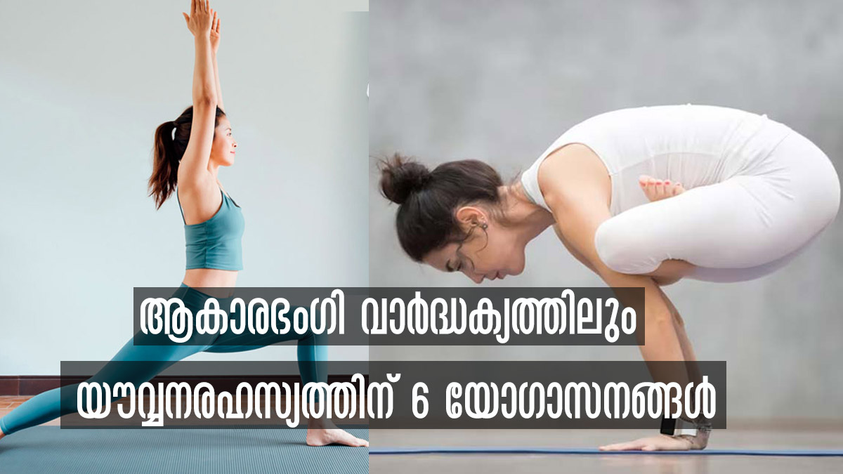 ശരീരാകൃതിയും നല്ല രൂപഭംഗിയും 6 യോഗാസനങ്ങള്‍ വീട്ടില്‍ ചെയ്യാം | Improve ...
