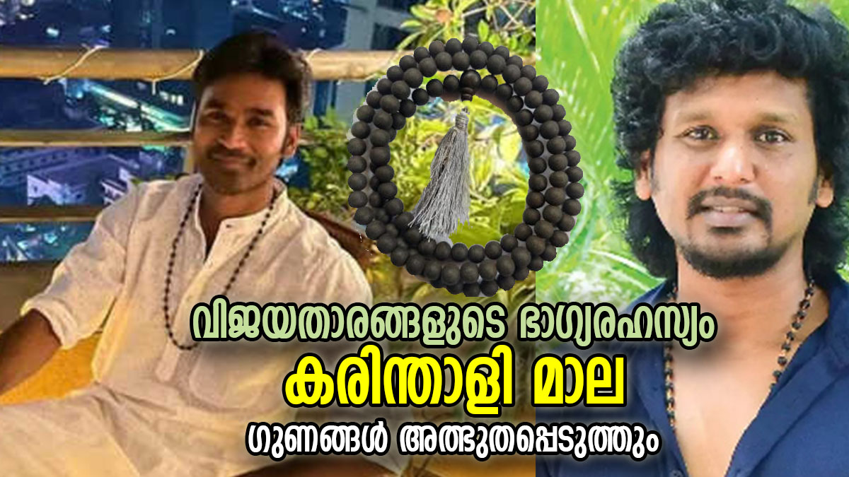 ഈ മാലക്ക് ഇത്ര ശക്തിയോ ! സനിമാതാരങ്ങളുടെ വിജയരഹസ്യം; കരിന്താളി മാല എന്ന ...