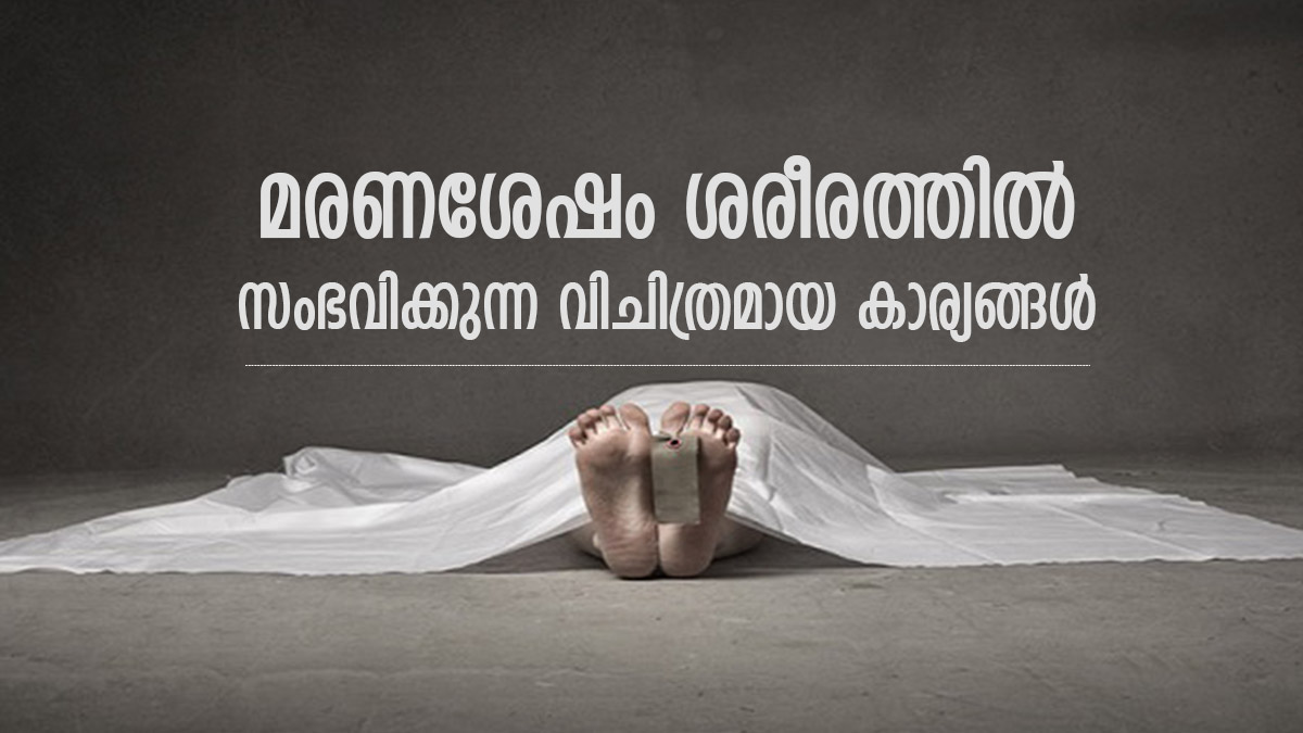ദഹനം, ഉദ്ധാരണം, പ്രസവം; മരണശേഷം ശരീരത്തില്‍ സംഭവിക്കുന്ന വിചിത്രമായ 10 കാര്യങ്ങള്‍ | Decoding ...
