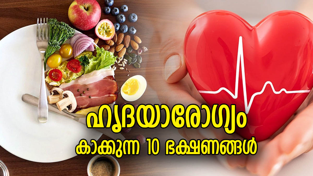 ജീവിന്റെ തുടിപ്പിന് കരുത്തേകാം; ഹൃദയാരോഗ്യം കാക്കുന്ന 10 ഭക്ഷണങ്ങള് ...